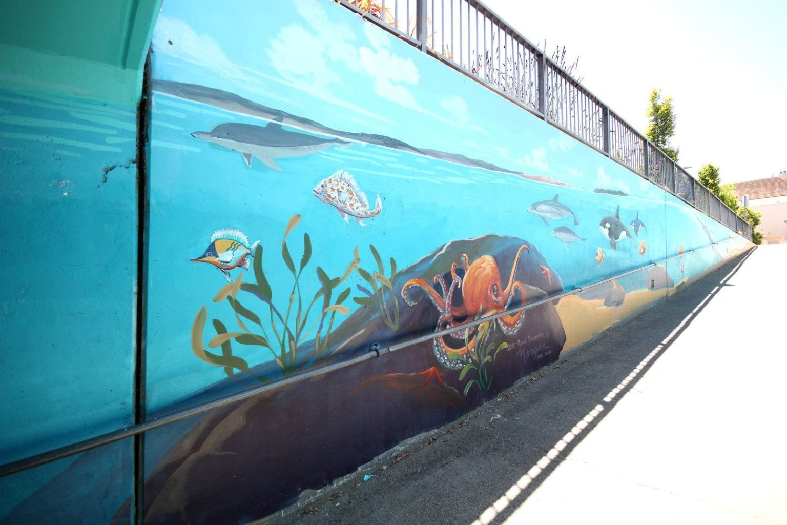 Beach & Ocean Murals Archives - Morgan Murals