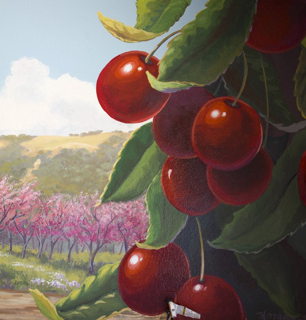 Cherry Tree Murals in Santa Clara - Morgan Murals