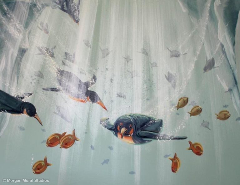Arctic Sea Underwater Mural for Kids Bedroom – Morgan Murals
