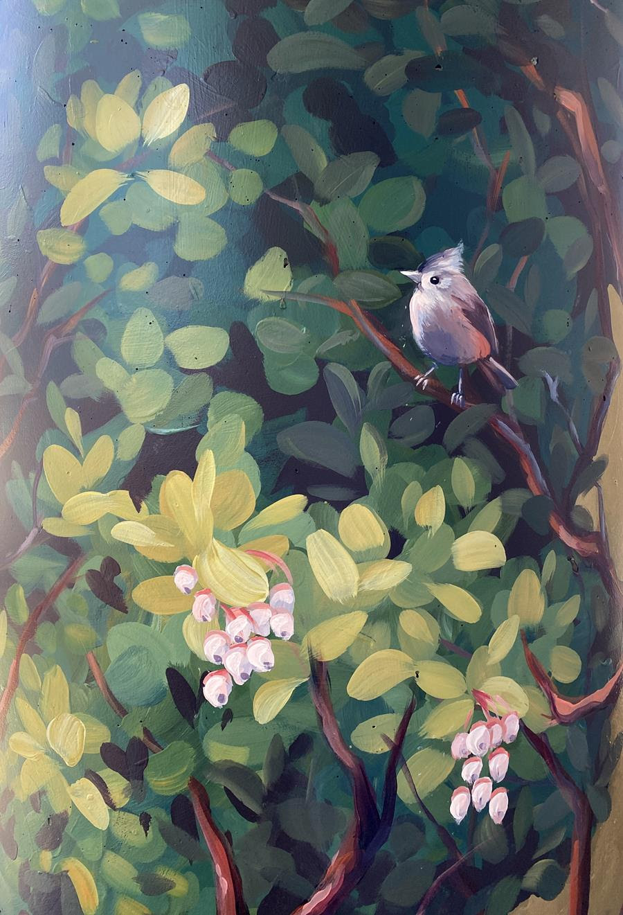 Lupines, Butterflies, And Community: A Palette For Affordable Housing ...